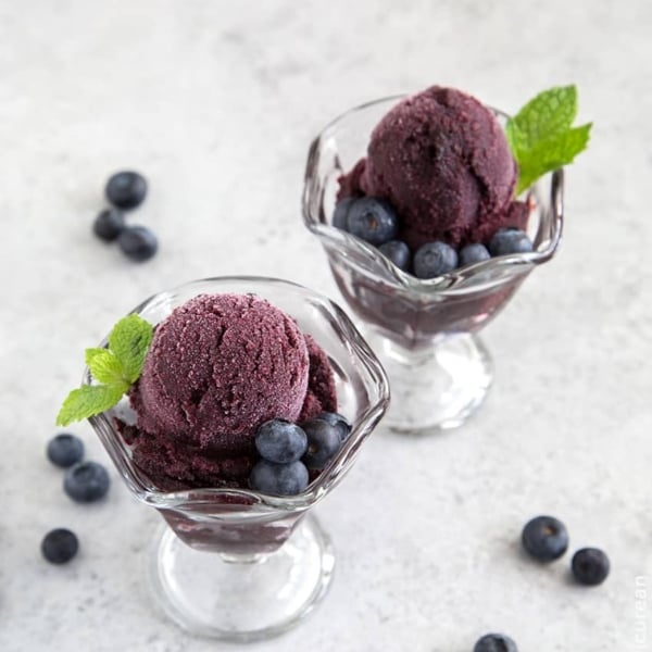 Blueberry Sorbet- The Little Epicurean